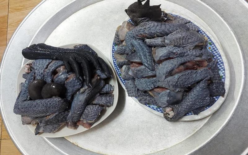 Lẩu gà đen Sapa – 01 món ngon bậc nhất của tây bắc| Tây Bắc