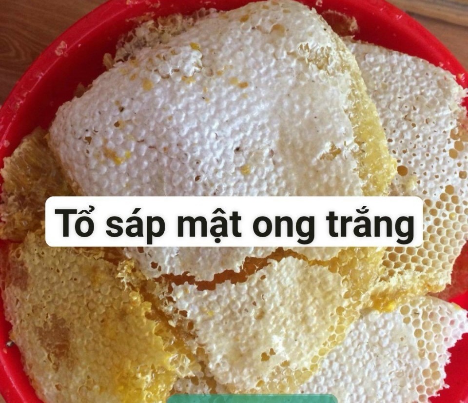 Mật ong hoa blong song - những điều chưa bạn chưa biết