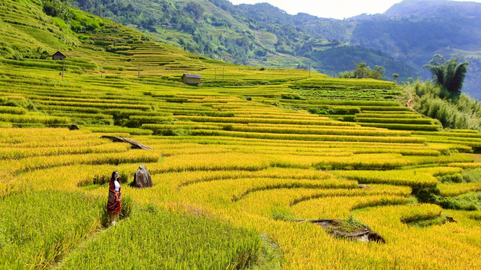 Kinh nghiệm du lịch Y Tý bạn cần biết