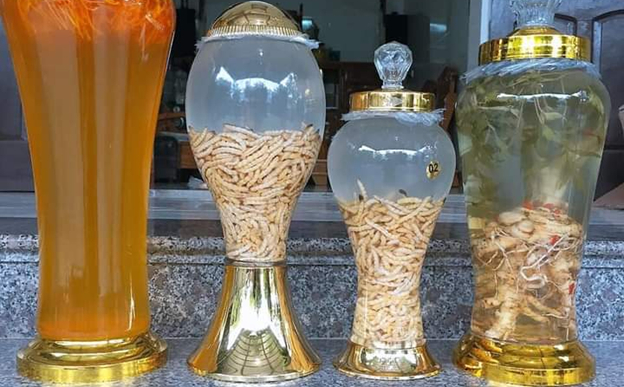 Mách bạn cách ngâm rượu sâu chít Tây Bắc khô