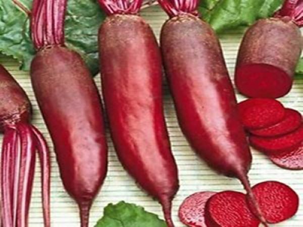 Củ dền đỏ là gì?