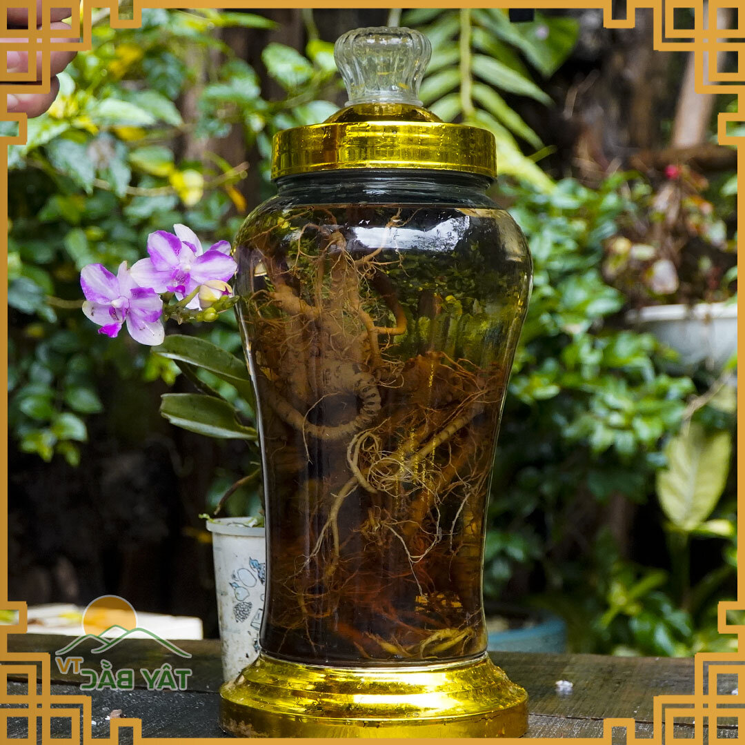 Công dụng của rượu tam thất