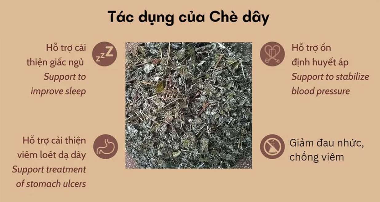 Chè dây Tây Bắc – Giải pháp tự nhiên cho sức khỏe dạ dày